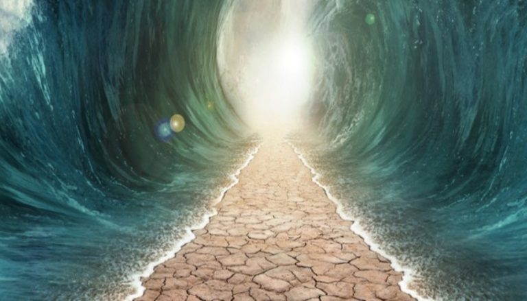 5 maneras precisas para ver los milagros que suceden en tu vida