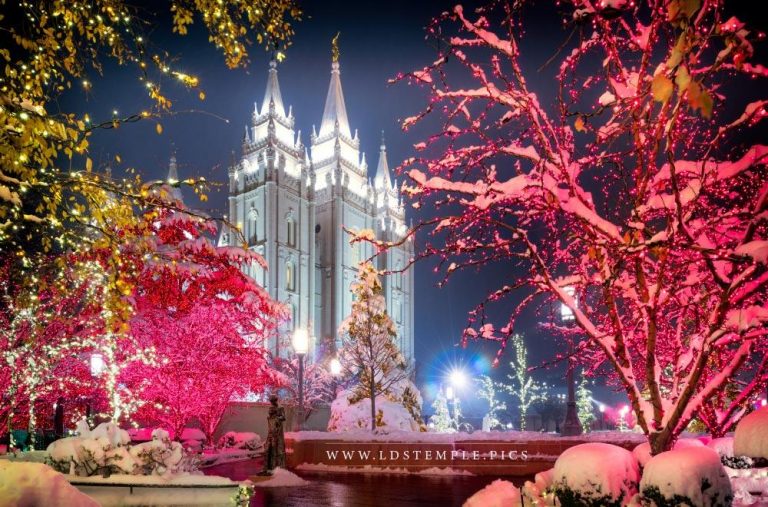 Navidad 2023: Todo lo que puedes hacer en la Manzana del Templo de Salt ...
