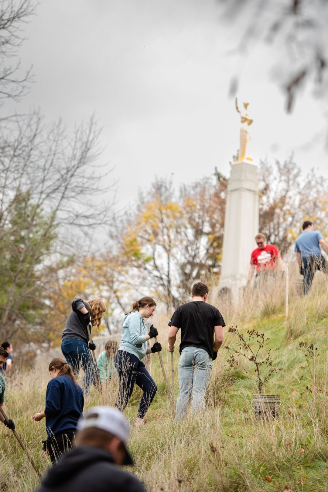 Misioneros Santos de los Últimos Días plantaron miles de árboles en el ...