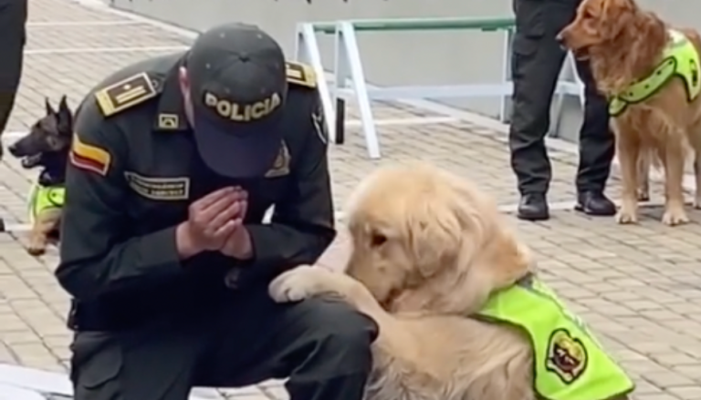 Policía y su perrito orando juntos nos muestran el poder de confiar en Dios